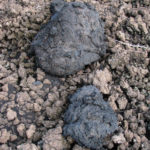 Joc Relieful pe sare si gips, argile, gresii , conglomerate si roci ...