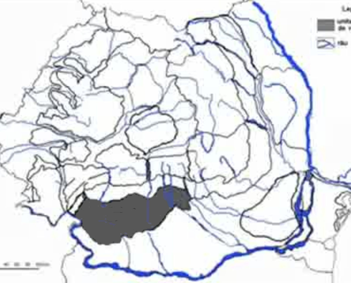 Joc geografie Romania Subunitatile de relief