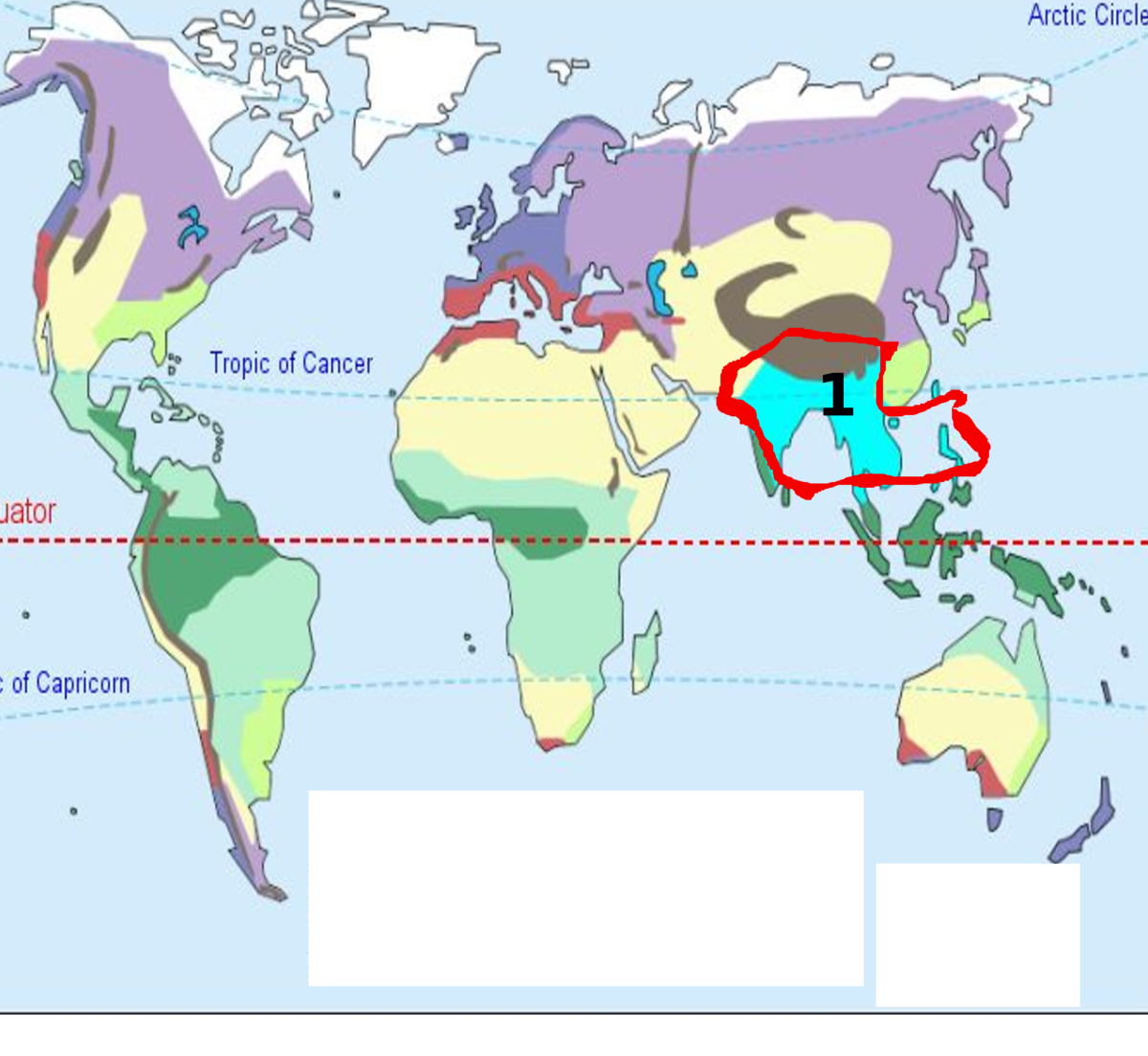 Jocuri geografie nivel mediu