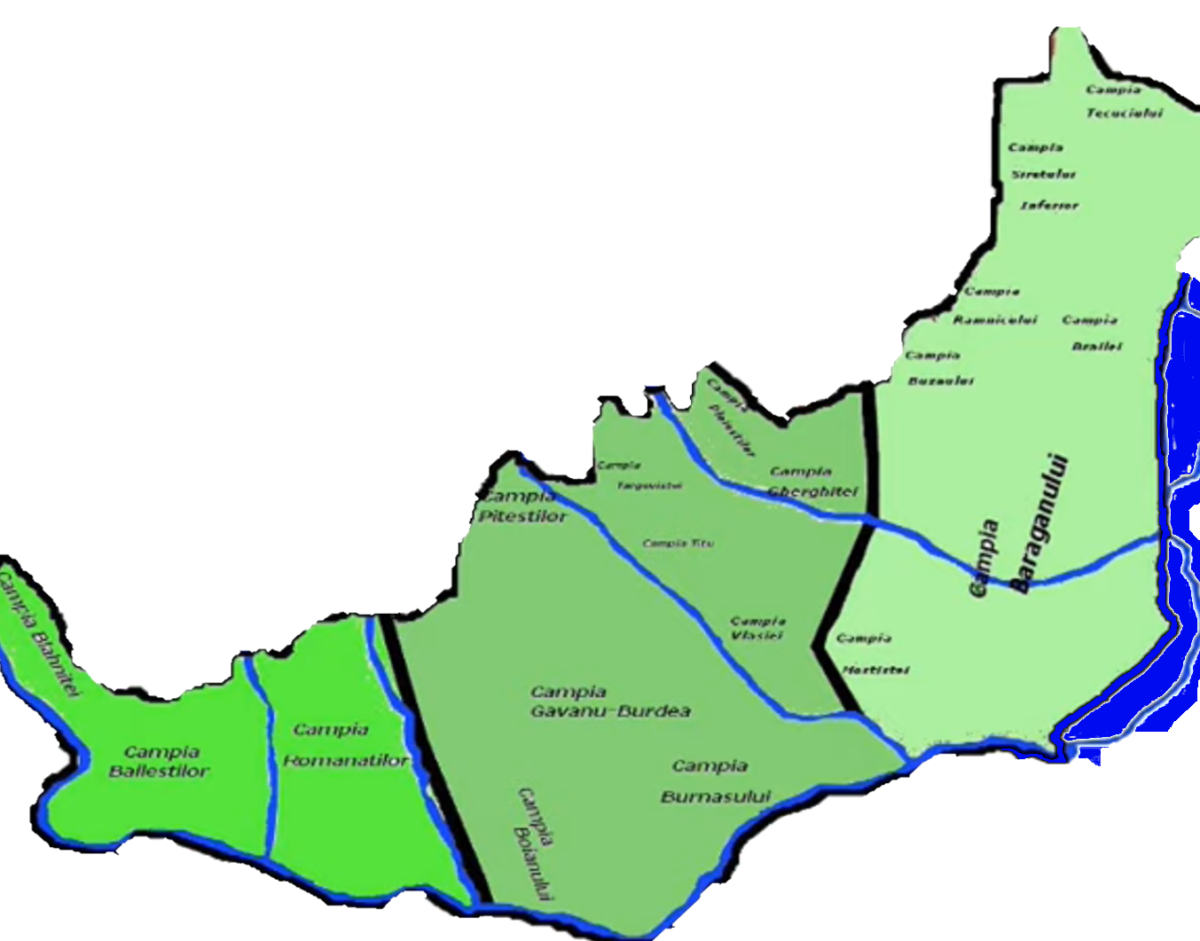 Campiile Romaniei joc geografie