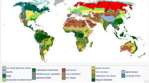 Biosfera joc geografie