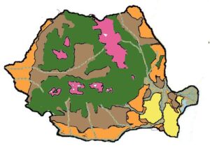 Vegetatia fauna si solurile Romaniei joc geografie