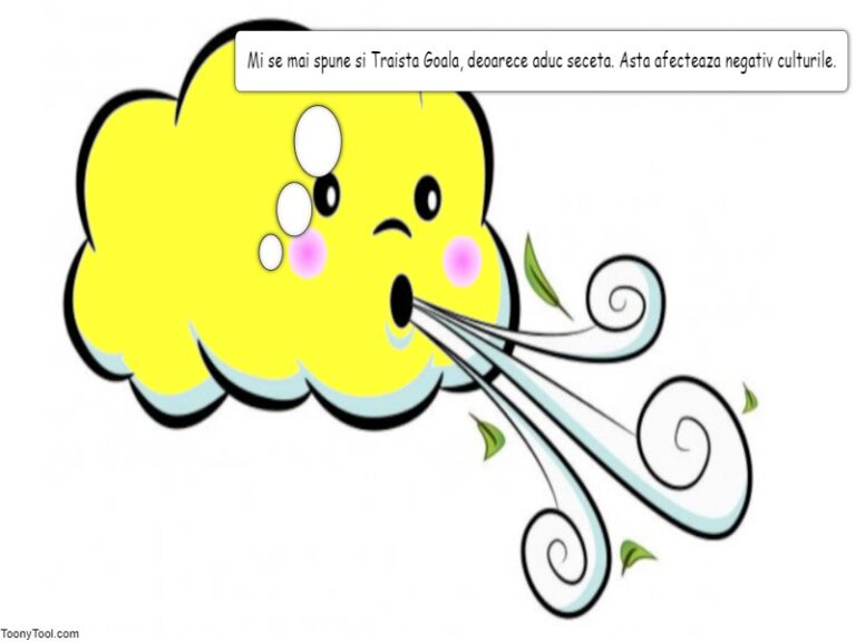 Vanturile Romaniei joc geografie